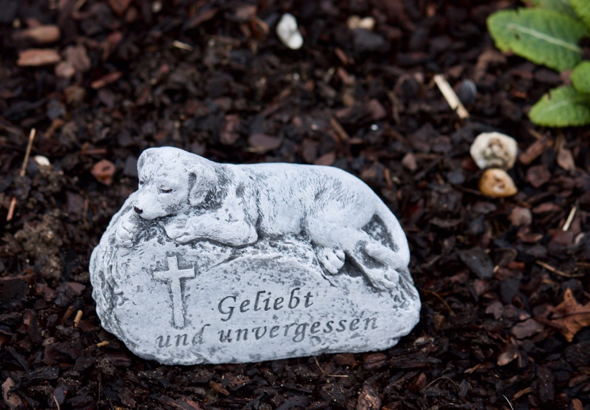 Grabschmuck Hund Haustier Grab „Geliebt und unvergessen“ Steinguss ...