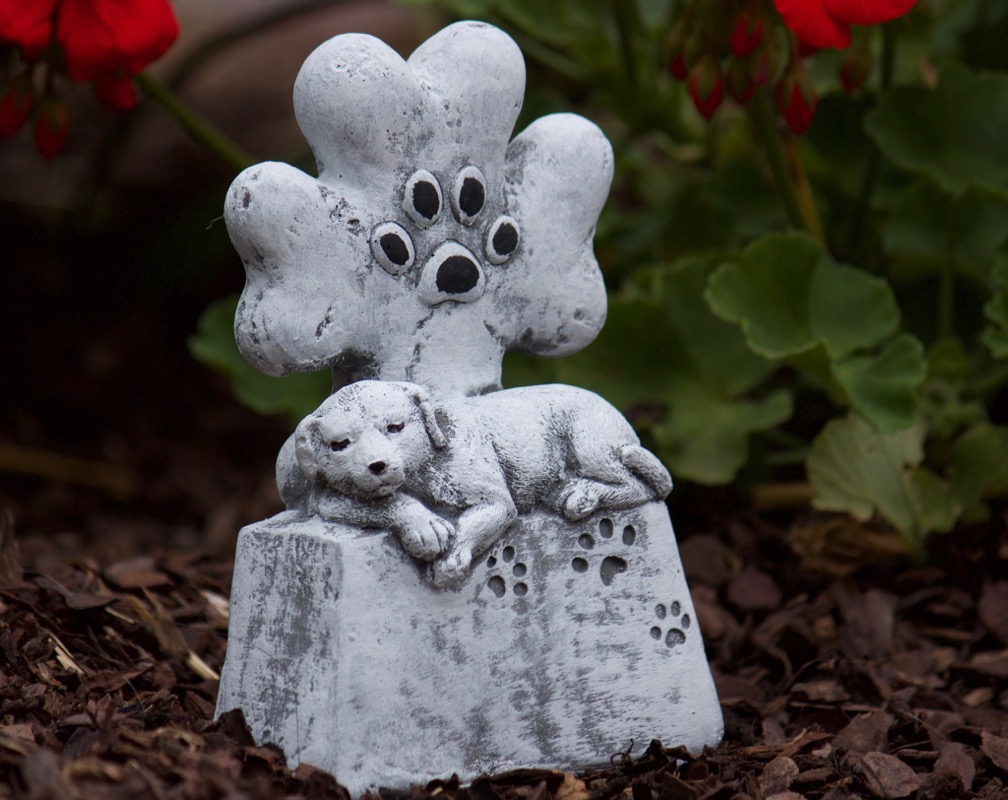 Grabschmuck Hund Grab Tatze frostfest wetterfest Grabstein Trauer ...